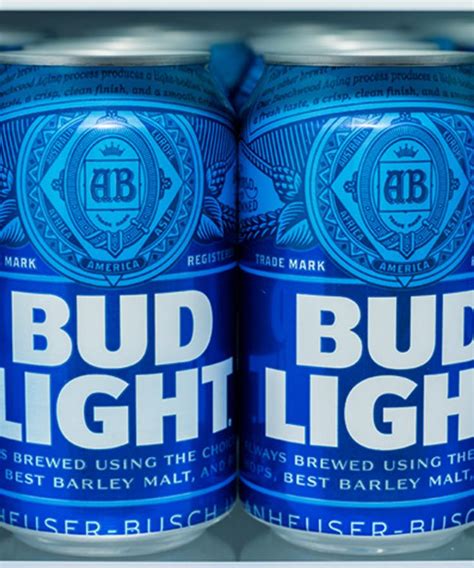 Neon Light Sign For High-quality Bud Light Seltzer – Neon Factory