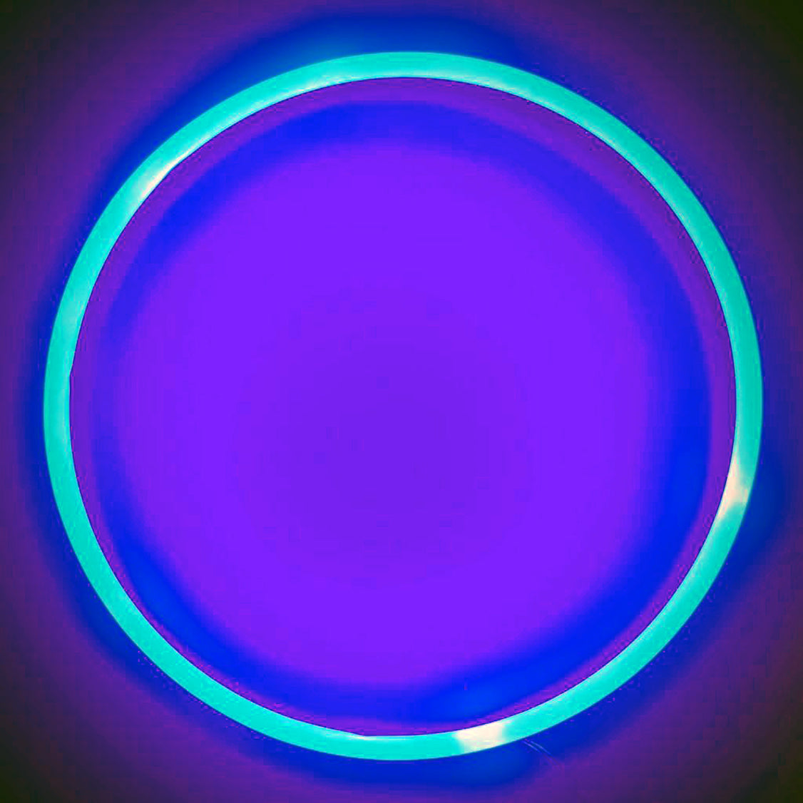 Round Neon Light – Neon Factory