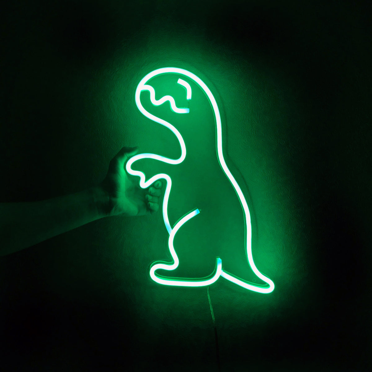Dinosaur neon sign Lighting