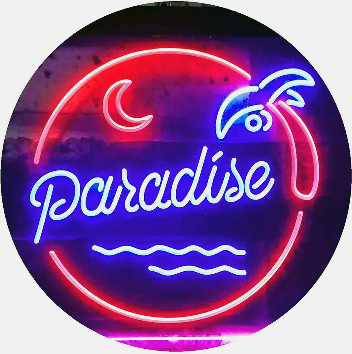 Paradise neon sign , Neon Sign on Acrylic prints