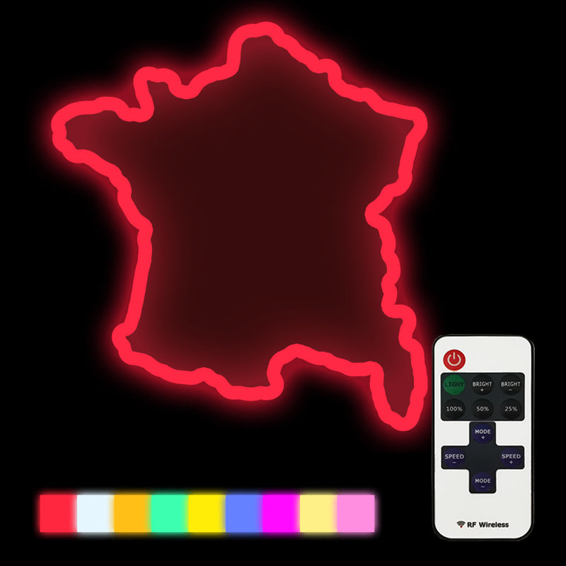 France Neon sign for sale