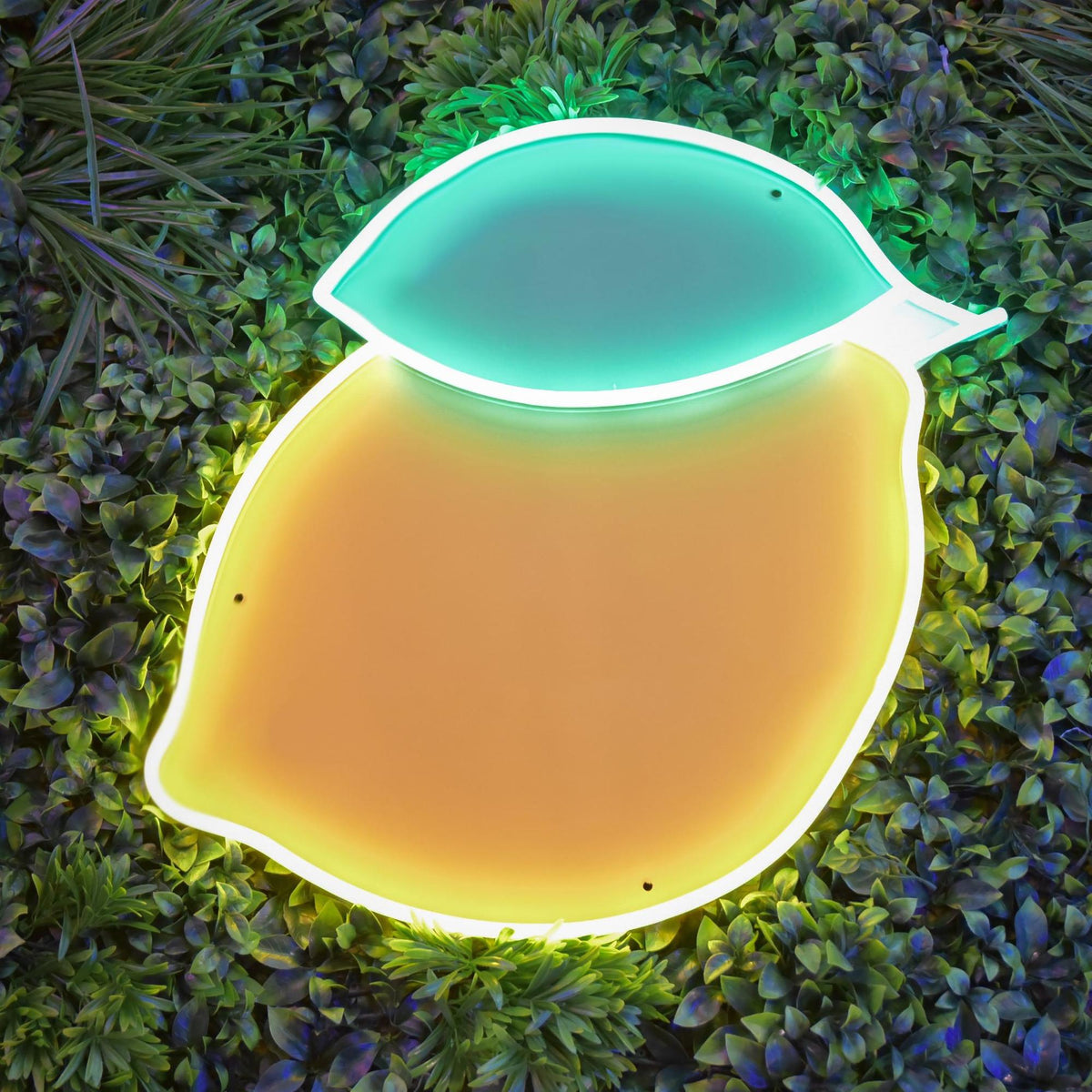 Crazy Lemon Led Neon Sign – Neon Factory