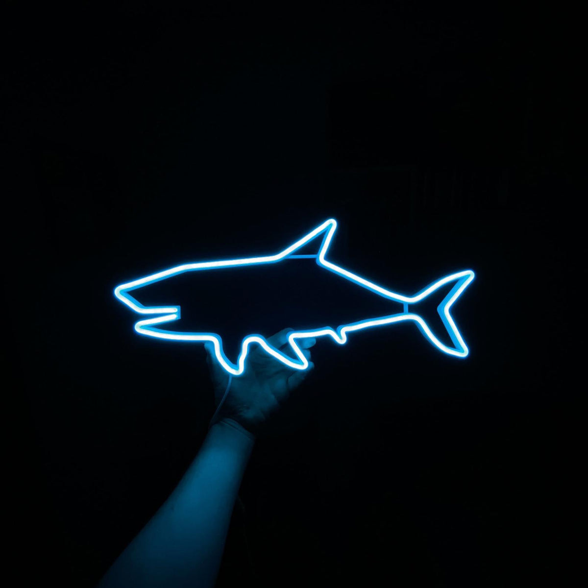 Shark Neon Led Sign – Neon Factory